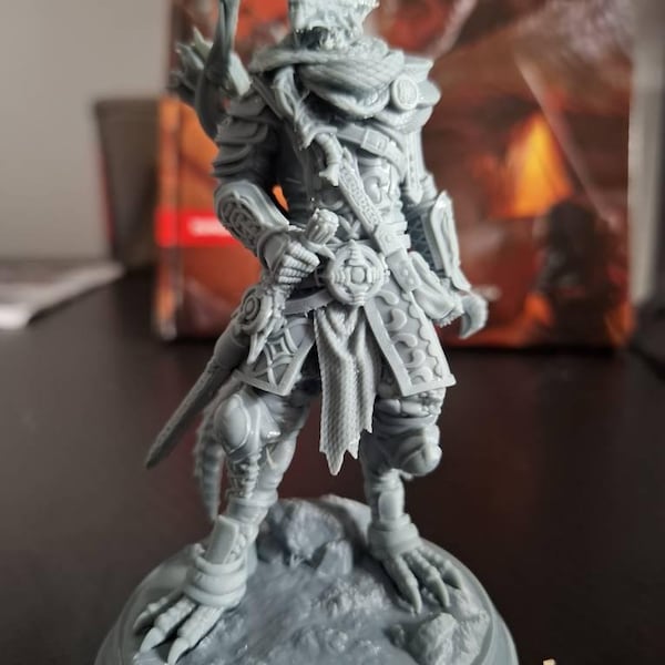 Florian - Fallen Banner Knight Figure DND + BONUS Print 3D 14k ...
