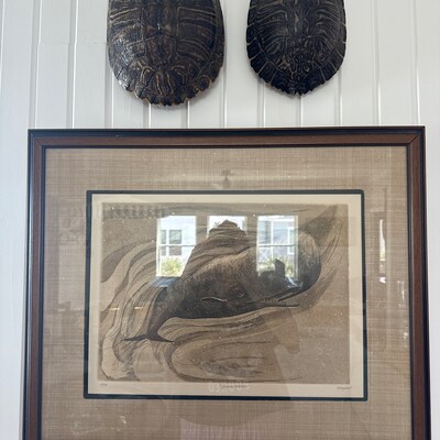 3 2 6 Mississippi River Map Turtle Shells - Etsy