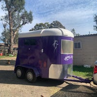 Large Angry Bee , Hornet Sticker Decal for RV Motorhome,, Truck, Ute ...