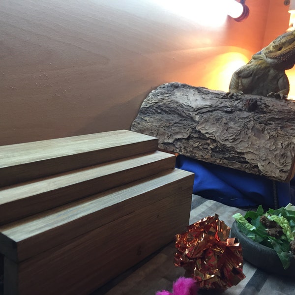 Natural Wooden Reptile Tunnel Hide. Vivarium & Terrarium Decorations ...