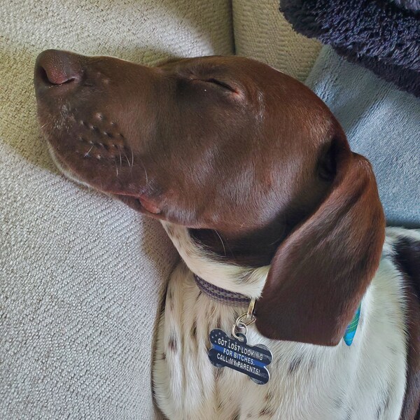 2 Sided TBL - Thin Blue Line Police Dog Tag - Back the Blue - Custom ...