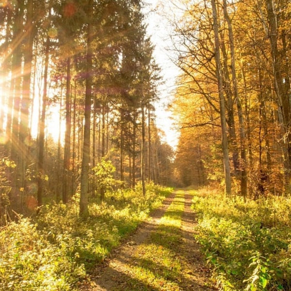 Beautiful Female Mercenary Spirit Companion. Conjuring. Distance ...