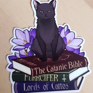 Silver Cat With Book Puns and Flowers Sticker Set - Etsy
