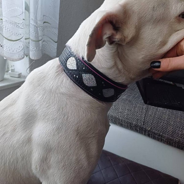 Bestia™ Genuine Leather hektor Harness. Rivet Design. Soft Padded With ...