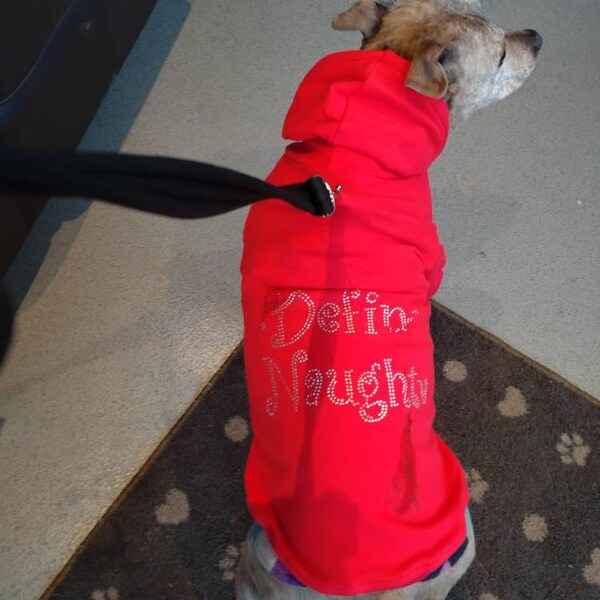 Red Dog Hoodie - Red Dog Sweater - Red Dog Jumper - Dog/puppy Clothing ...