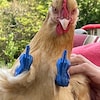 Middle Finger Muscle Arms for Chickens - Etsy Canada