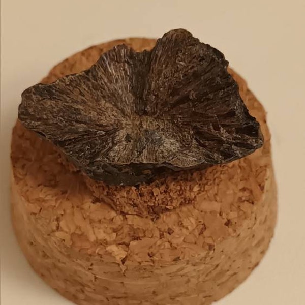 Gold Doubloon Replica Coins - Etsy