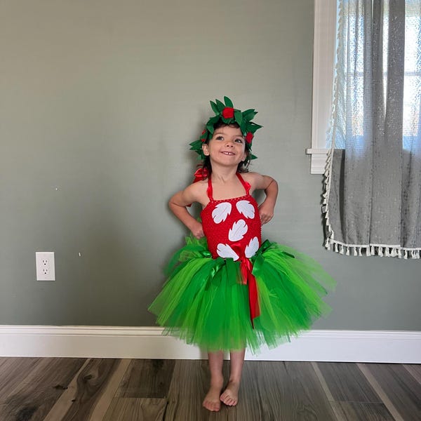 Bluey Halloween Costume, Bluey Tutu Dress, Halloween Costume, Tulle ...