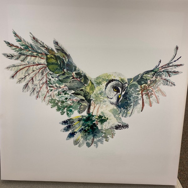 Flying Owl With Trees Leaves Forest Double Exposure Nature Animal Bird ...
