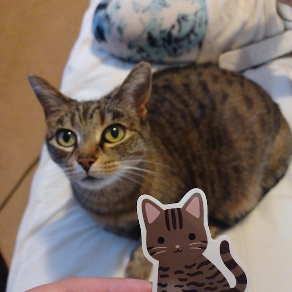 White Arctic Fox Acrylic Glitter Keychain | Kawaii Chibi Wild Animal ...