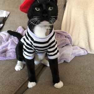 Complete French Cat Outfit Cat Beret Ascot and Striped Shirt - Etsy