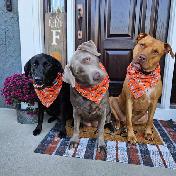 Green Bay Packers Over Collar Dog Bandana, NFL, Pet Scarf, Reversible ...