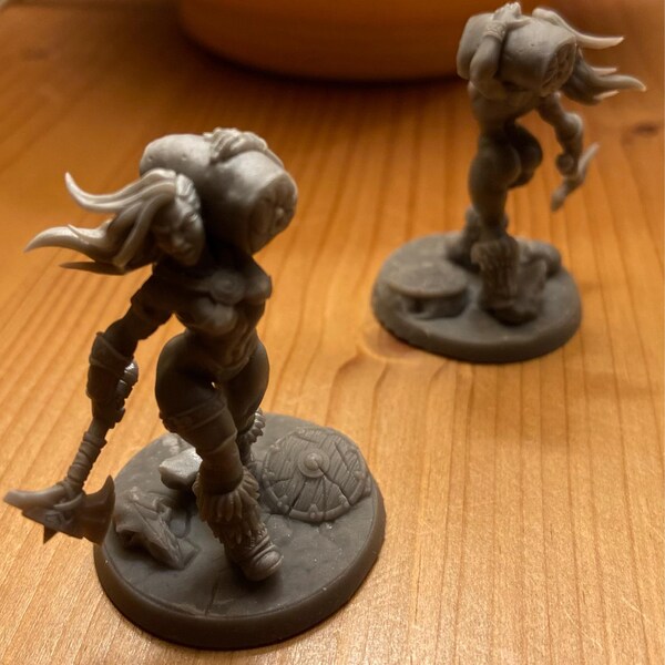 Nendra Preistess of Eilistraee Fantasy Resin Miniature Dnd Miniature ...