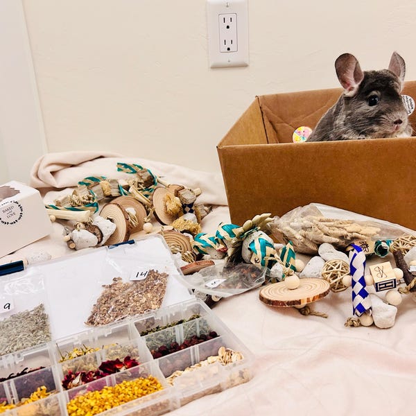 Original Full/single Sets of Cage Guards / Poop Guards SAFEST & MOST ...