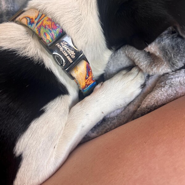 Mountain Dog Collar Personalized Dog Collar Landscape Custom Dog Collar ...