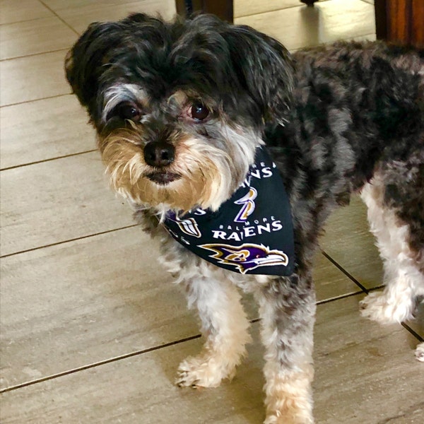 NFL Baltimore Ravens Dog Bandana Scarf-over the Collar - Etsy