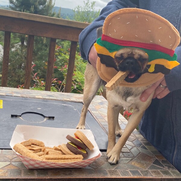 Cheeseburger Pet Hat Costume for Cats Small Dogs in Soft Vibrant Felt ...