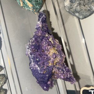 Shiva Shell Crystal AAA - Etsy