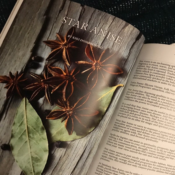 April 2016 Vol #11 Witch Way Magazine - DIGITAL - the Coven Issue-fiona ...