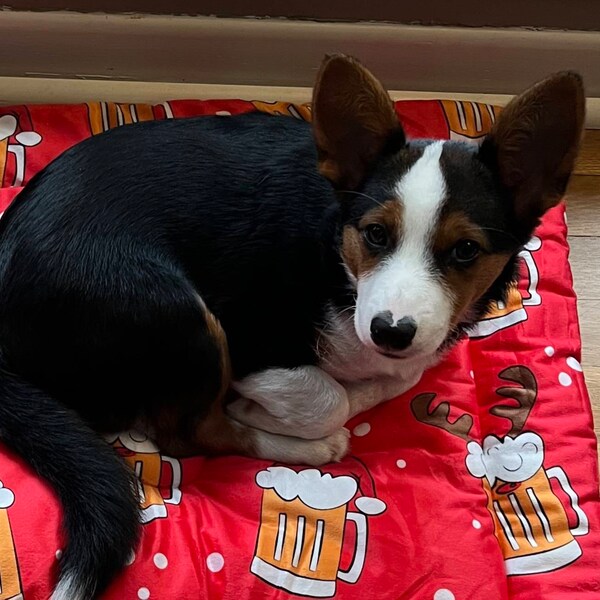 Easter Basket Tag With Bible Verse- Cross Easter Basket, Religious ...