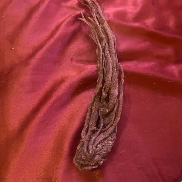 Master Root - A Hoodoo Root That is the Master of Them All (this is NOT ...