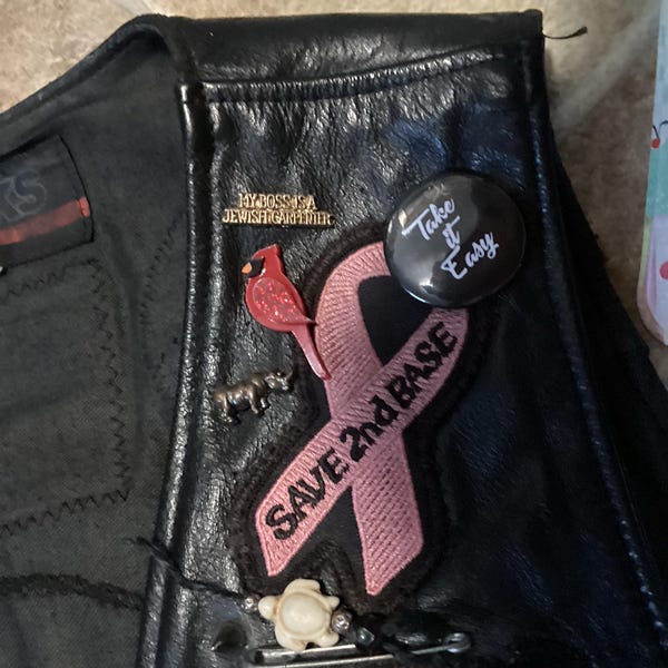 Cardinal Pin Layered Acrylic Bird Lover Gift Red Cardinal Brooch Bird ...