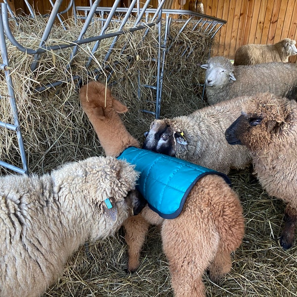 ADULT SIZES AVAILABLE at Www.criacoats.com - Do Not Order This Listing ...