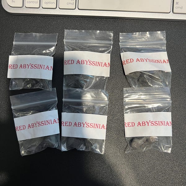 1/4 Lb Zenith Zoysia Grass Seed (zoysia Japonica) – Zenith Zoysia Seeds ...