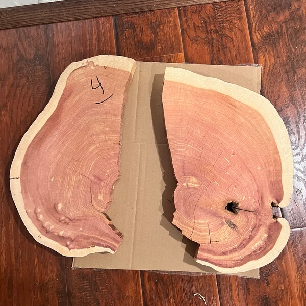 1.3/8by 22 Spalted Sycamore Tree Slice Hole Mirror Project Wood ...