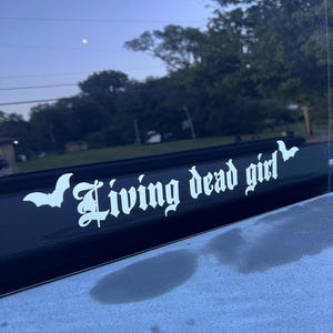 Support Your Local Cryptids Bumper Decal, Spooky Car Accessories ...