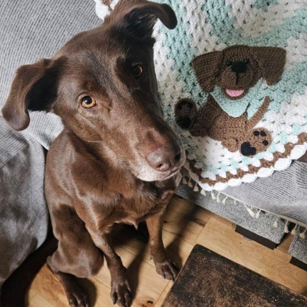 Labrador Crochet Baby Blanket - Handmade Baby Blanket - Baby Labrador ...