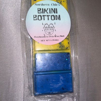 Basic Bish Wax Melt Snap Bar Wax Melts for Warmer Wax Melts for Gifts ...