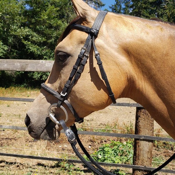 Yacht Rope Sport Mecate Reins W Poppers Use With Slobber Straps Snaffle ...