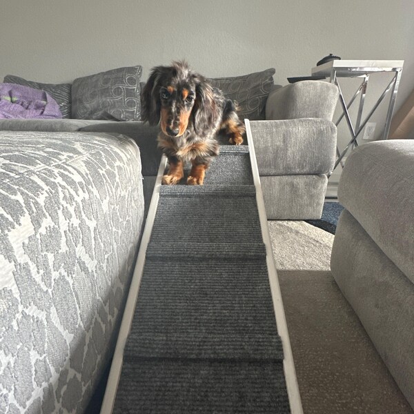 12x56 Adjustable Ramp 2 Side Rails Carpet Traction Bumps Small to ...