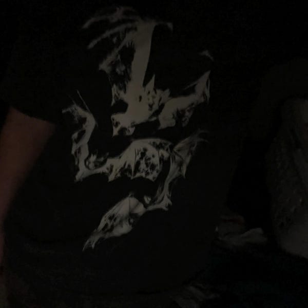 Three Bats Y2k T-shirt, Vintage 90s Style Bat Shirt, Washed Retro ...