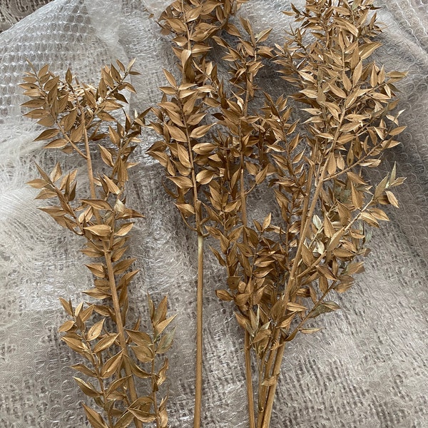 FANTASTIC! Preserved GOLDEN Italian Ruscus Bunch - Wedding Decoration ...