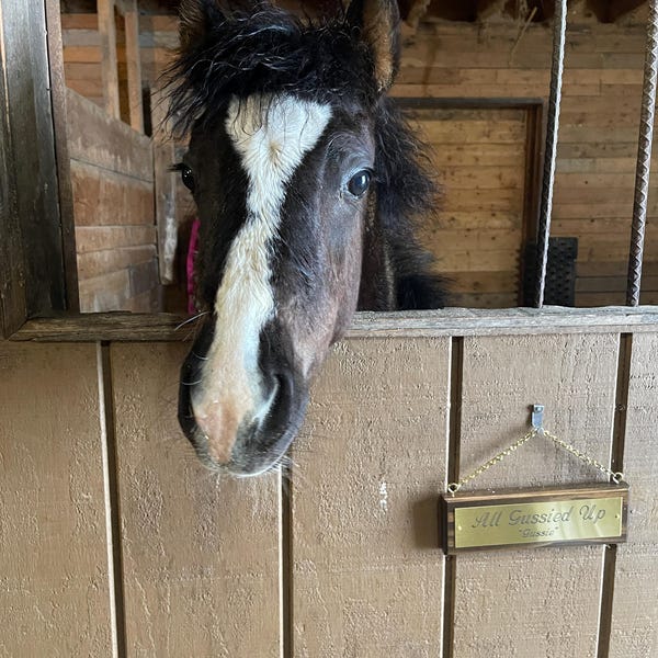 Custom Engraved SILVER Tack, Bridle, Martingale Plate, Horse Tack Plate ...
