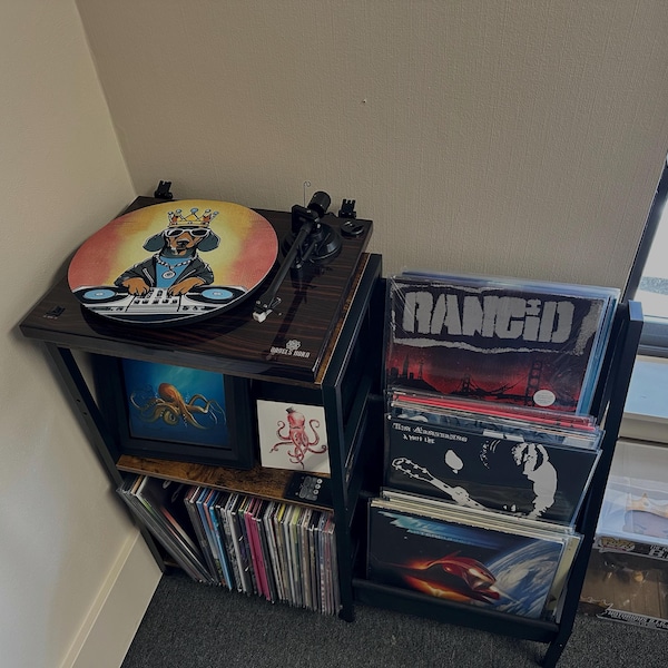 Cute Punk Rock Panda Anime DJ Turntable Slipmat Record Pad Gift ...