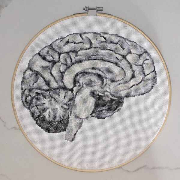 Modern Cross Stitch Pattern PDF, Anatomy Human Brain Cross Stitch ...