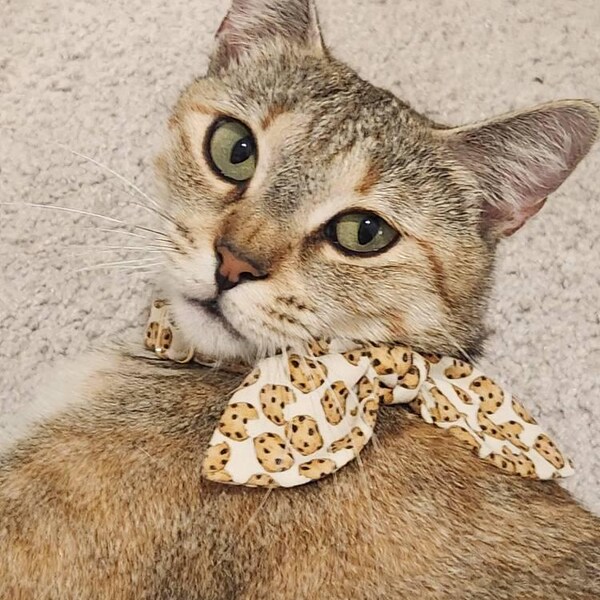 Fish Cat Collar With Bell and Charm, Cute Boy Cat Breakaway Collar ...