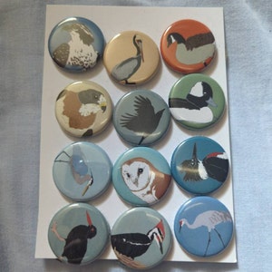 Bird Note Cards Mix Match 8 Choose From 36 Designs Printed on Recycled ...