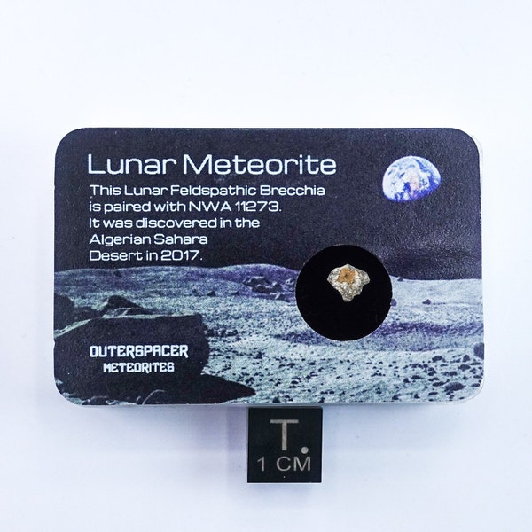 1g Authentic Moon Dust From Cutting Lunar Meteorites, in a Star Vial on ...
