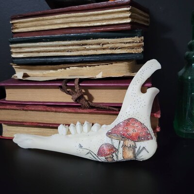 Real Mole Bone Displays. Bone Display. Mounted Mole Bones. - Etsy UK