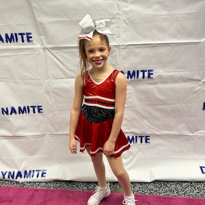 Red Line Firefighter Cheer Bow Blue Line Police Hairbow EMS White - Etsy