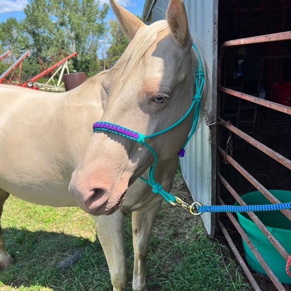 Soft Rope Halter/ Bitless Bridle With Woven Paracord Noseband ...