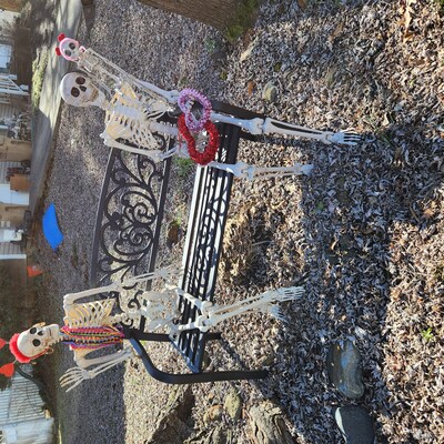 Heart Headband for Cats, Valentine's Day Cat Accessories, Cat Photo ...