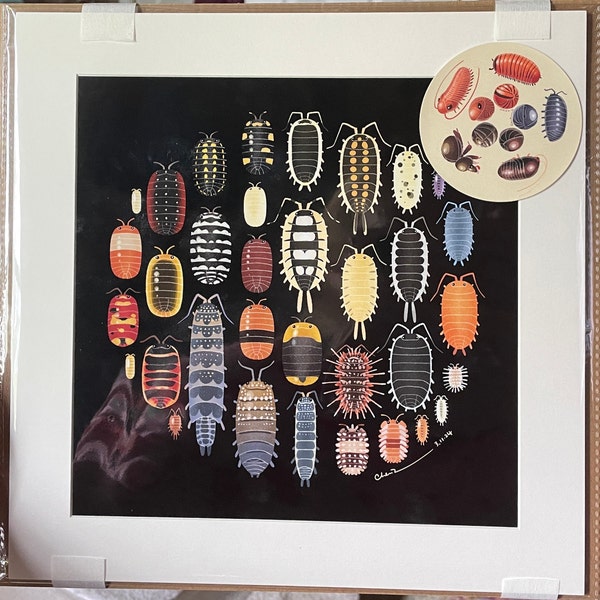 Katydid Circle Emboss Waterproof Sticker 3x3" - Etsy