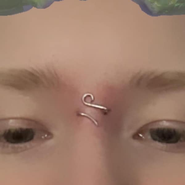 Hypoallergenic Niobium Spiral Bridge Piercing/body Jewelry - Etsy