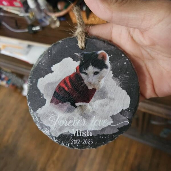 Custom Dog Frame, Dog Memorial Gift, Cat Name Photo Frame, Dog Picture Frame, Pet Memorial, Dog ...