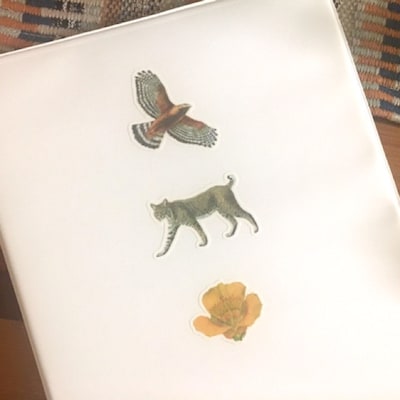 California Cats Sticker Set: Two Vinyl Stickers Bobcat, Cougar ...